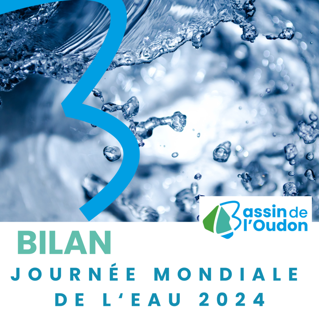 Bilan de la journée mondiale de l'eau 2024 ! - Bassin de l'Oudon